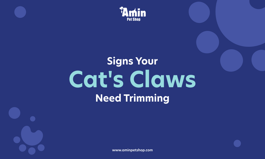 Should I Clip My Cat's Claws? Find out The Pros and Cons